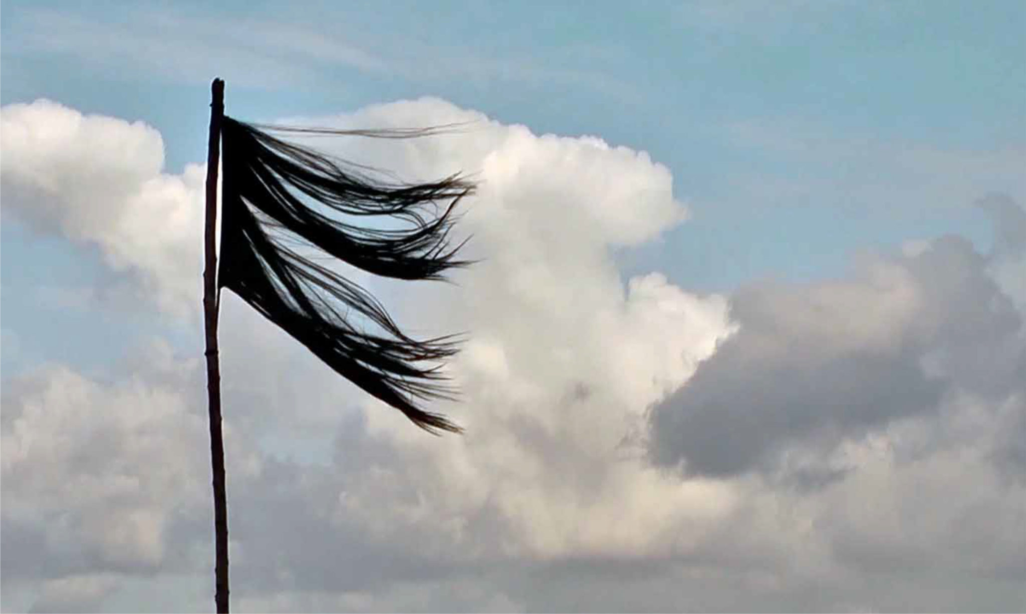 Edith Dekyndt at Bourse de Commerce, Paris – The Penitent Review